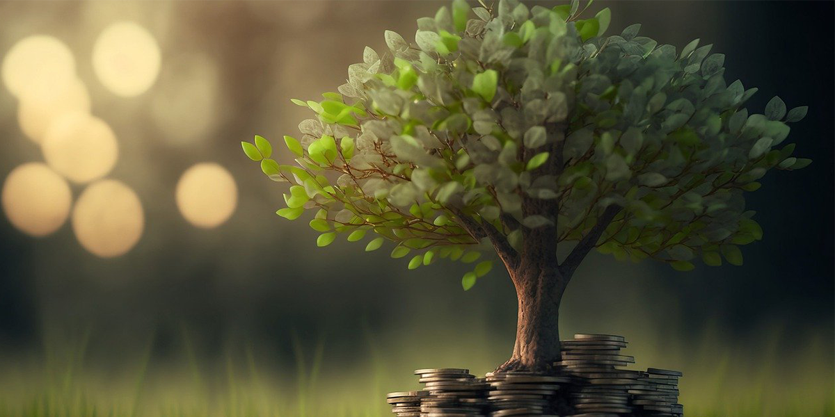 A Beginner’s Guide to Investing - Kashkick Guide